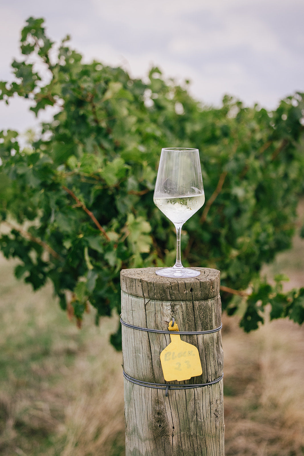 About – Barwang Wines